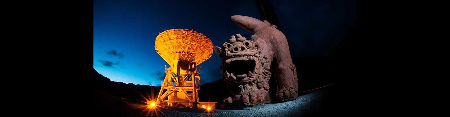 A Lion Guarding VERA Ishigakijima Station | NAOJ: National Astronomical ...